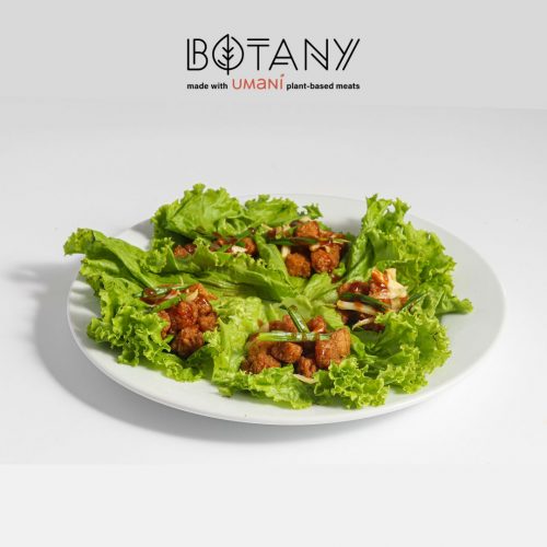 Botany Menu – Bar Chow – Umani Sam-G | WTH Foods